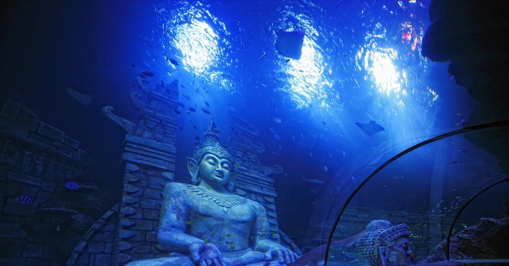 Kay Elliott Architects - Sea Life aquarium, Venice | News | Building Design