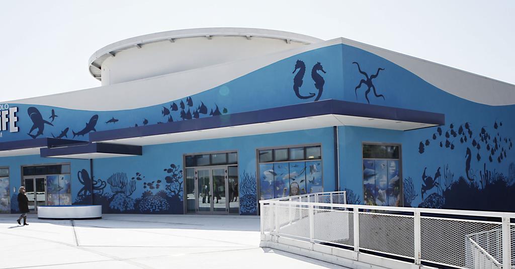 Kay Elliott Architects - Sea Life aquarium, Venice | News | Building Design