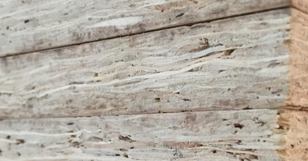 MEDITE SMARTPLY defines the standard of innovative wood-based panels ...