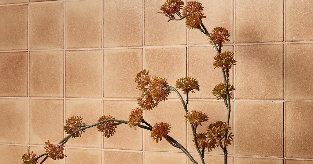 New bio- and waste-based tiles could cut embodied carbon by 94 per cent ...