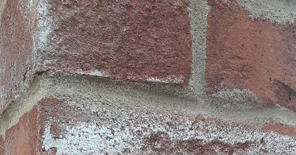 Gypsum/grey efflorescence increasing problem in brick specification ...