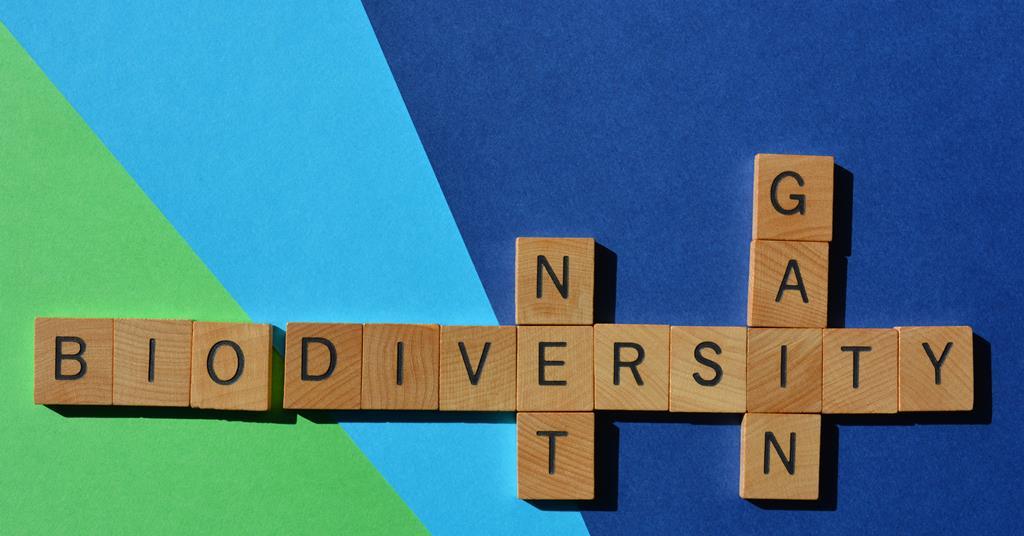 Biodiversity net gain rules to come into force in February | News ...