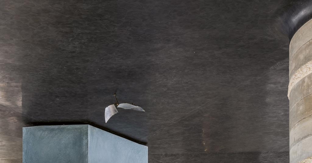 Review | Carlo Scarpa: The Complete Buildings | Review | Building Design