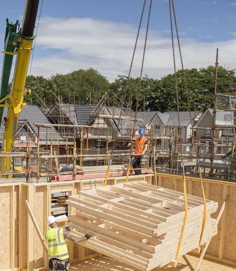 Unlocking timber’s potential: Alex Goodfellow on industry readiness and ...