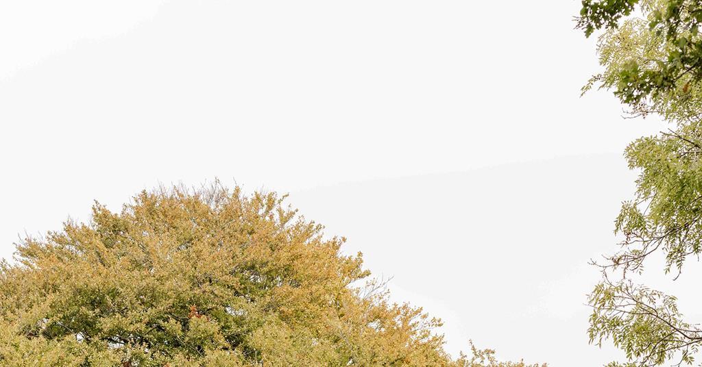 In pictures: Clay Rise | News | Building Design