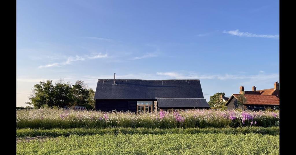 Best of 2024: building studies that showcased the year’s most ...