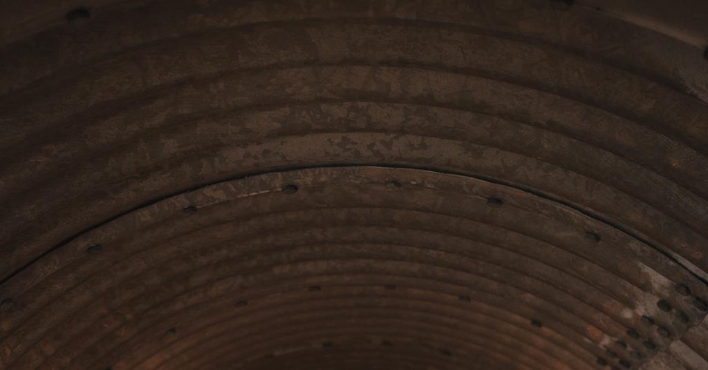 Neal Shasore and Neil Onions among RIBA honorary fellows for 2025 ...