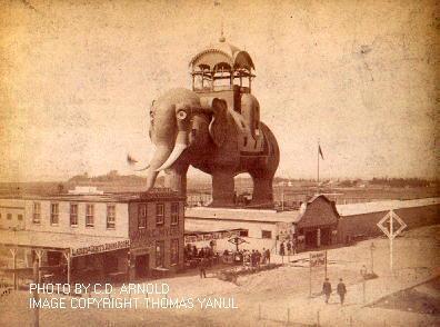 Elephant buildings | Features | Building Design