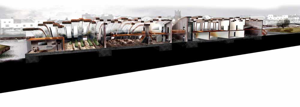 University of Cambridge | Features | Building Design