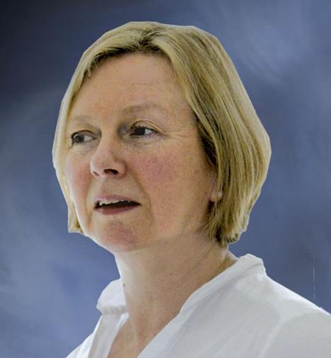 Ruth Reed elected first woman RIBA president | News | Building Design