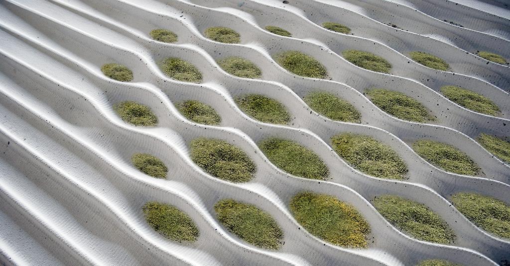 Reinventing the green wall | Technical | Building Design