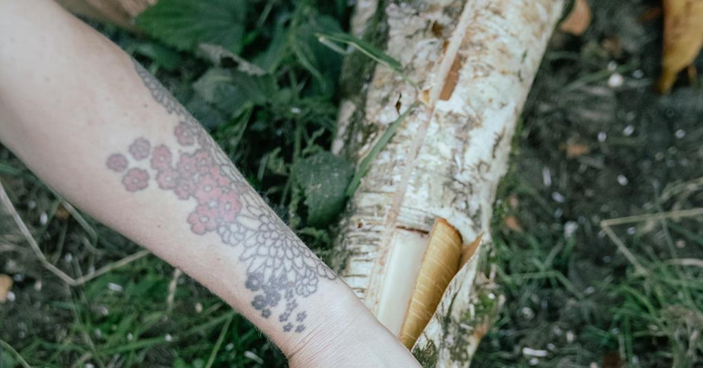 Material Cultures: the radical architects rethinking how – and what ...