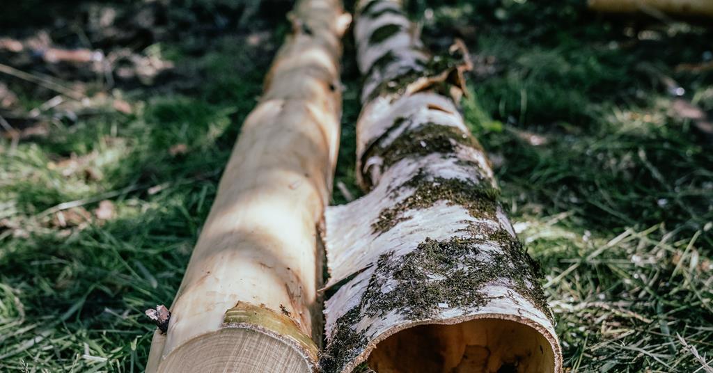 Material Cultures: the radical architects rethinking how – and what ...