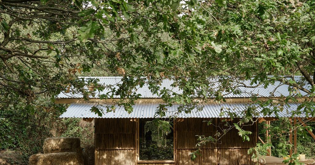 Material Cultures: the radical architects rethinking how – and what ...