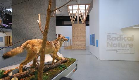 Barbican’s nature ramble | Review | Building Design