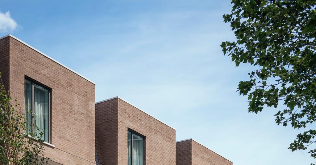 Alex Ely: ‘Architecture is so central to our culture - it’s a pity it ...
