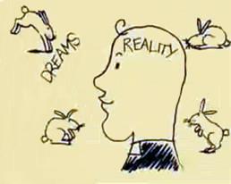 Reality vs. Reality | Blogs | Building Design