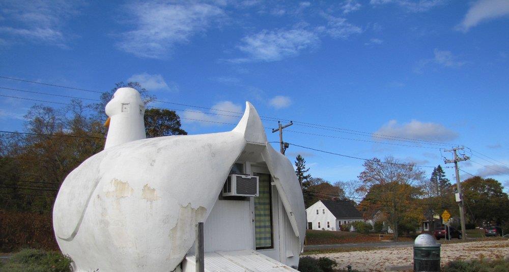 The Big Duck | Features | Building Design