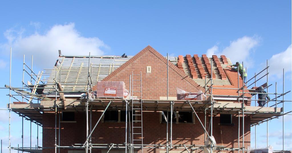 What is collective custom build? | Opinion | Building Design