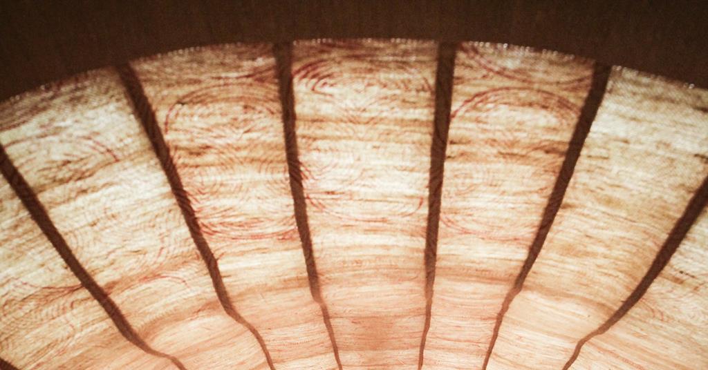 Form Follows Love: Anna Heringer on building with empathy, intuition ...