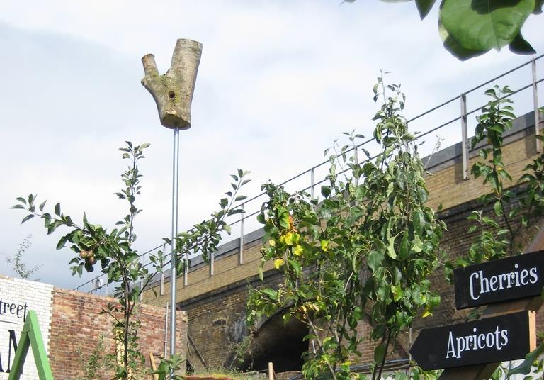 The Union Street Urban Orchard | News | Building Design