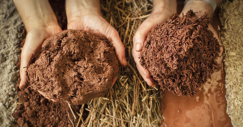 CobBauge: Bringing earth into the 21st century | Opinion | Building Design