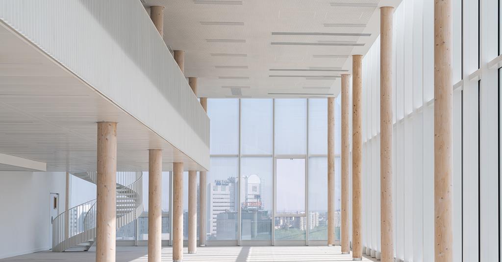 French lessons: learning about timber construction – and dreaming big ...