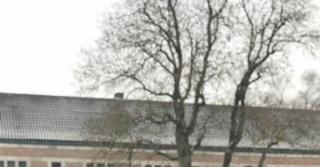 David Kohn wins Belgian convent competition | News | Building Design