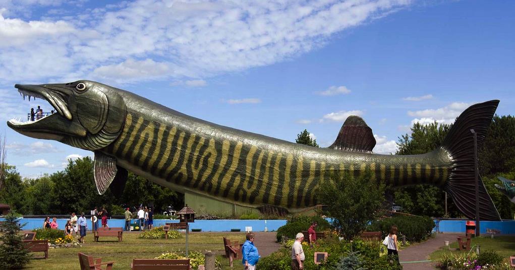 Sea creature buildings | Features | Building Design