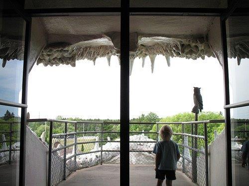 Sea creature buildings | Features | Building Design