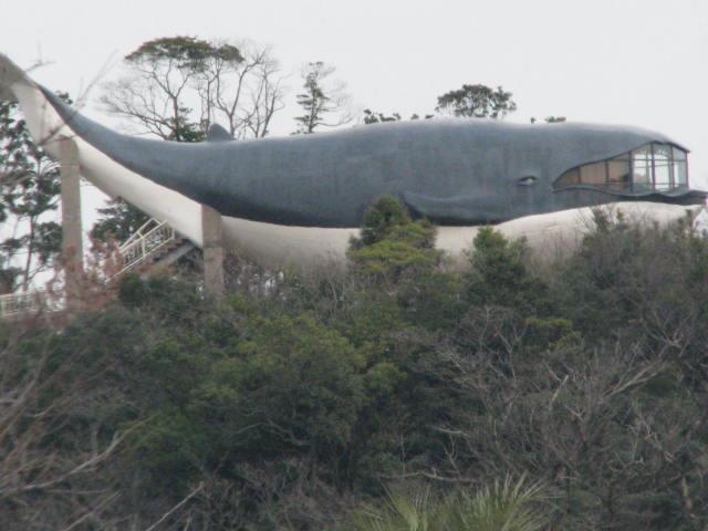 Sea creature buildings | Features | Building Design