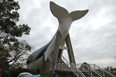 Sea creature buildings | Features | Building Design