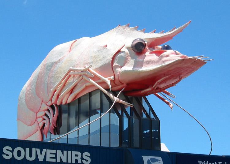 Sea creature buildings | Features | Building Design