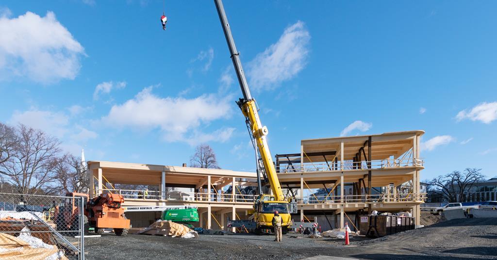 In pictures: timber and transparency combine in TenBerke’s Kathleen ...