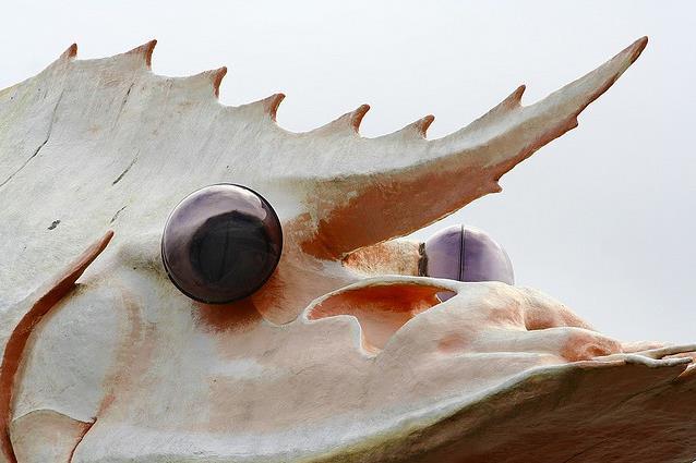 Sea creature buildings | Features | Building Design