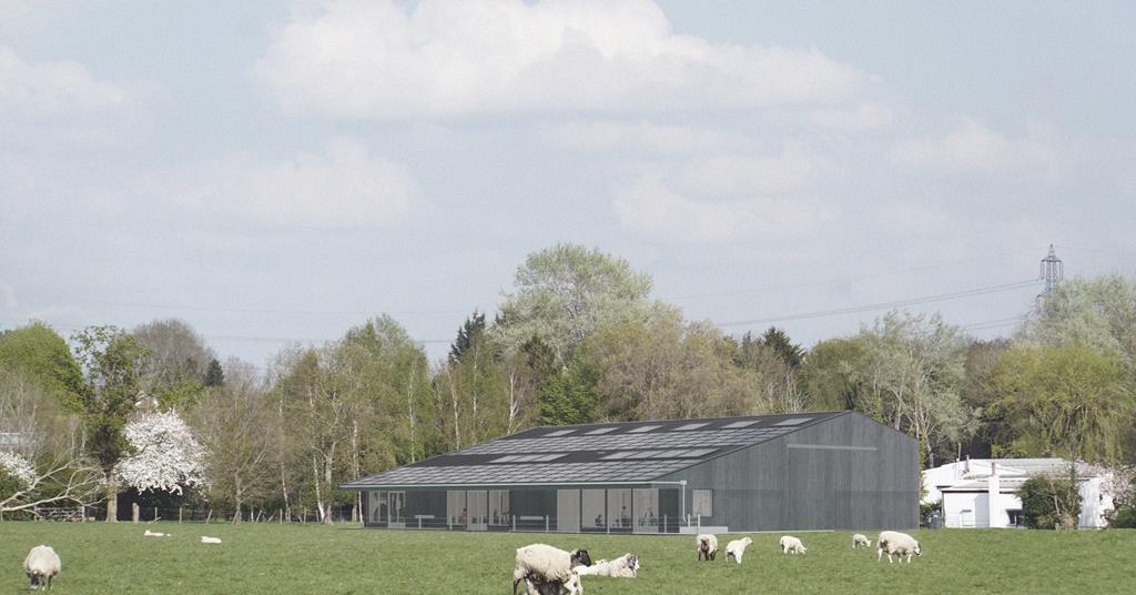 Research, empathy and quiet radicalism: the key ingredients in ‘Saunt ...