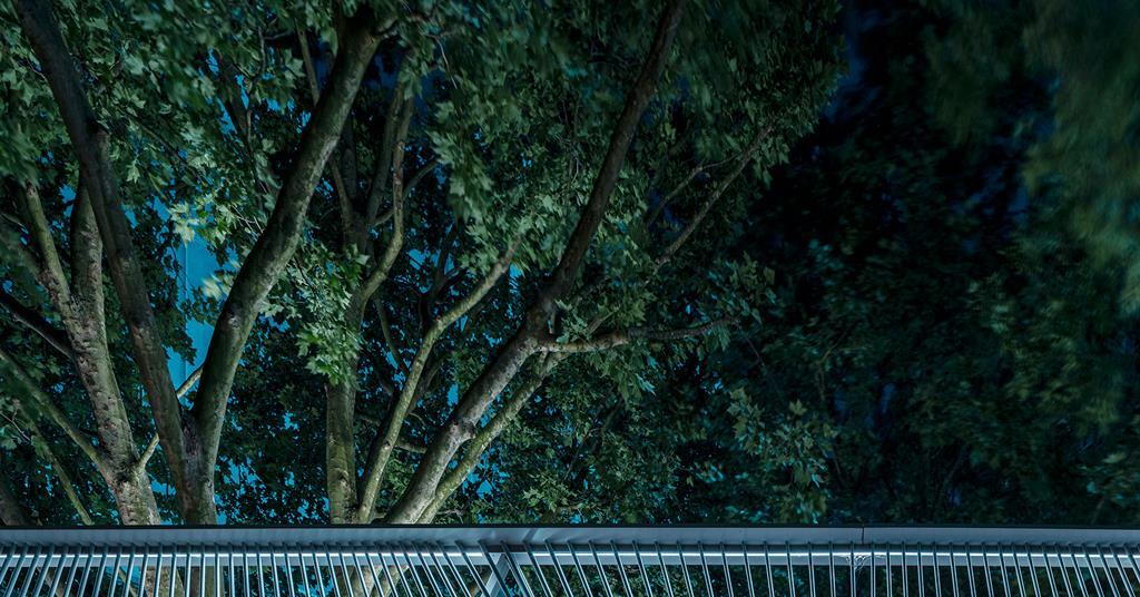 What made this project… The Tree House by Bell Phillips | Features ...