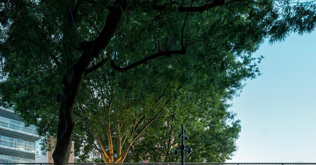 What made this project… The Tree House by Bell Phillips | Features ...