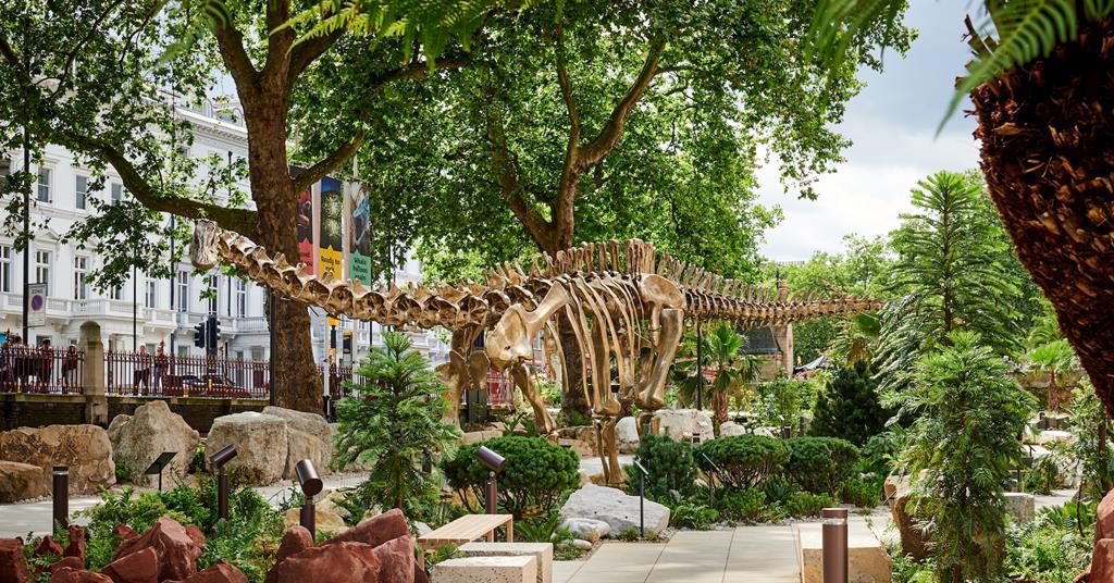 Meet Fern the diplodocus, star of a Natural History Museum garden ...