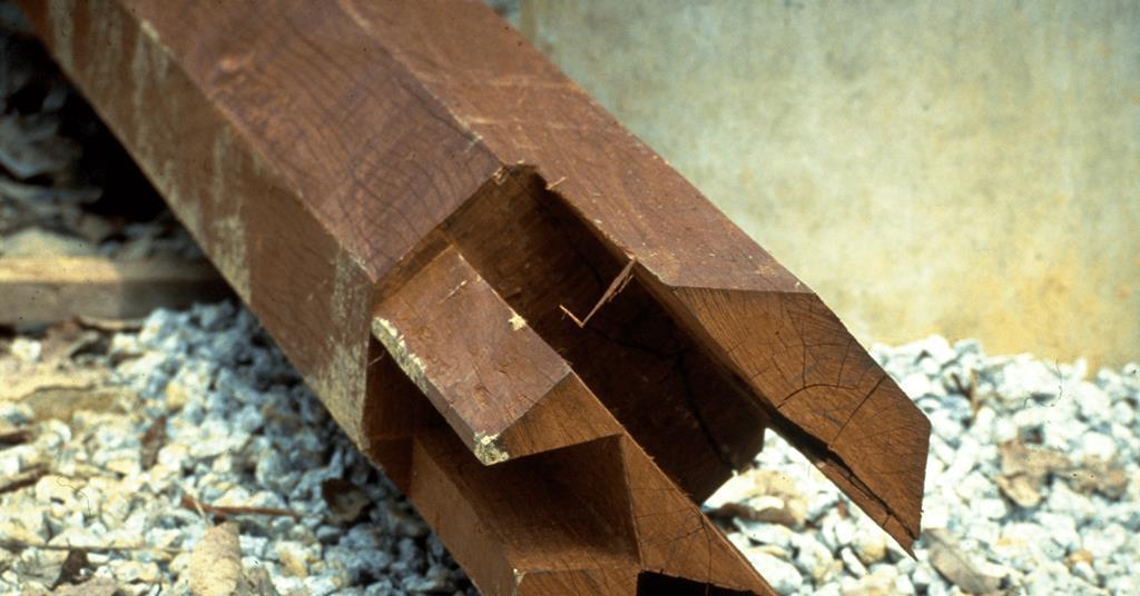 50 Wonders | Haziq Ariffin: Salinger House, Malaysia | 50 Wonders ...