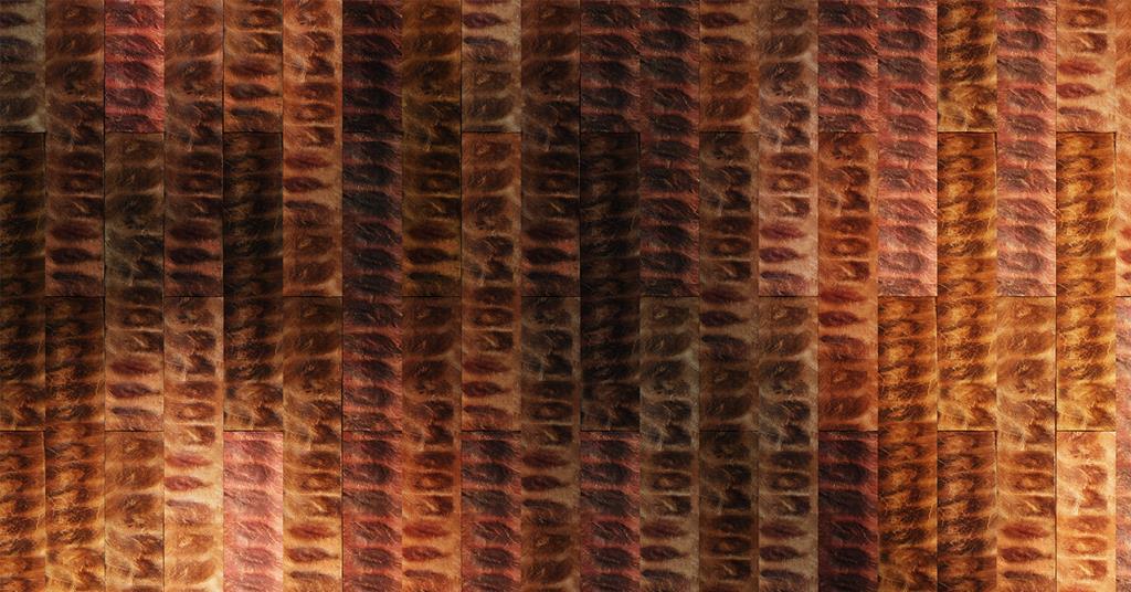 Zero-waste modular building materials set to take centre stage at Dubai ...