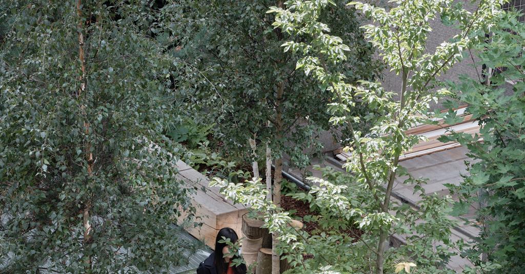 What made this project… Maple House by Gibson Thornley | Features ...