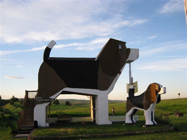 Dog buildings | Features | Building Design