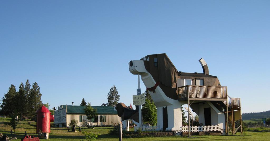 Dog buildings | Features | Building Design