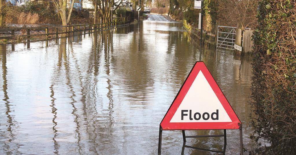 Design ‘beautiful’ flood defences, says Cameron aide behind floods ...