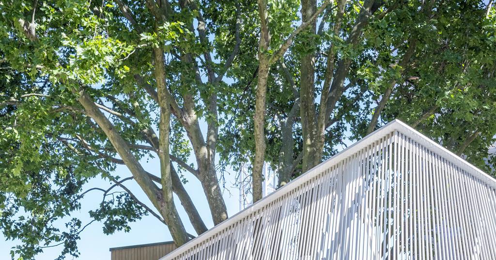 Bell Philips showcases ‘tree house’ pavilion at Elephant Park | News ...