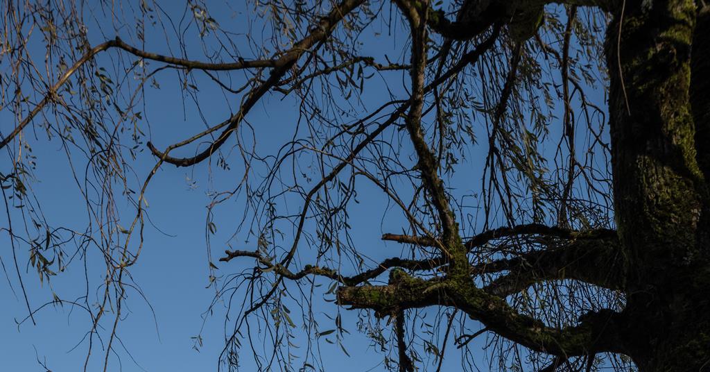 What made this project… De Valera Library and Súil Gallery by Keith ...