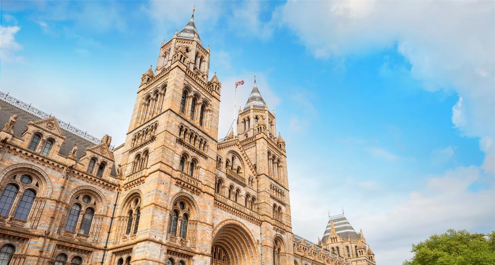 Building archives: Dodging falling bricks at the Natural History Museum ...
