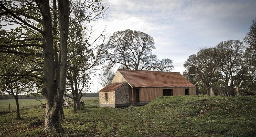 Studio Bark project gives students hands-on site experience | News ...