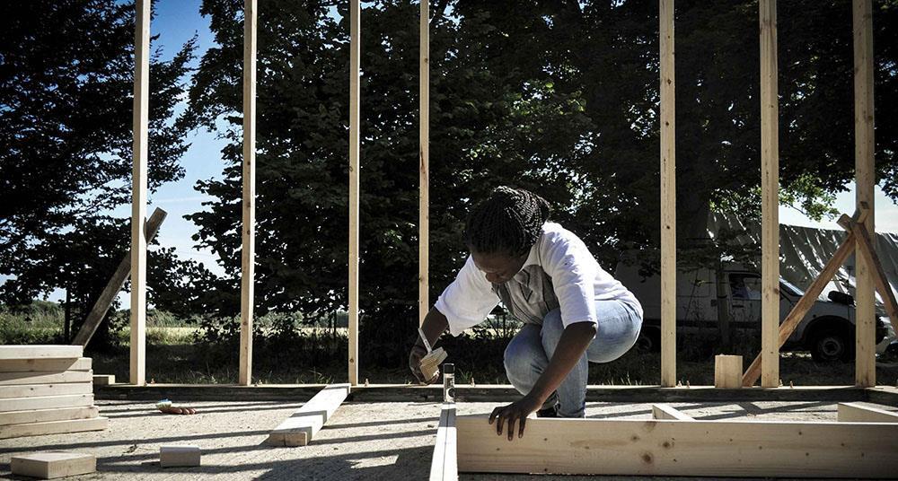 Studio Bark project gives students hands-on site experience | News ...